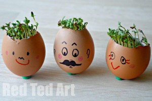 Spring Activities: Cress Heads - Red Ted Art - Kids Crafts