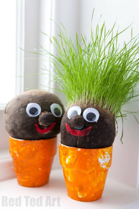 Grass Head Lesson Plans