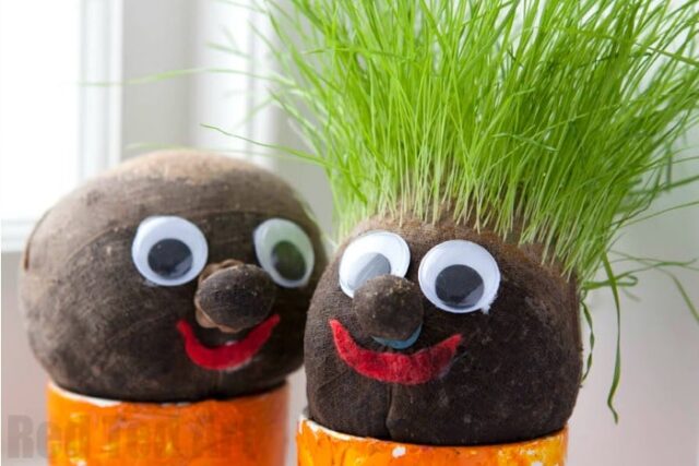 Grass Caterpillars - Red Ted Art - Kids Crafts