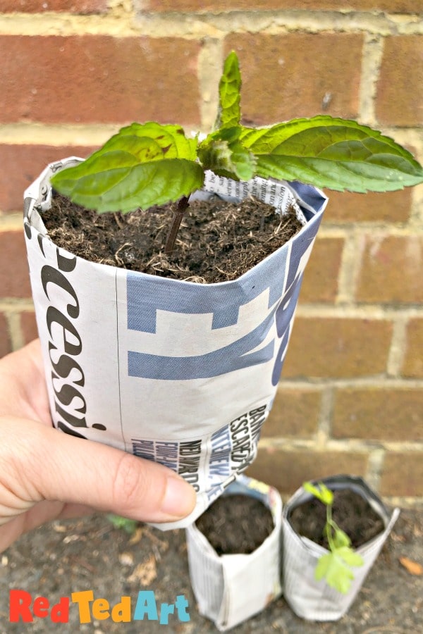 How To Make Seedling Pots From Newspapers Red Ted Art Make Crafting