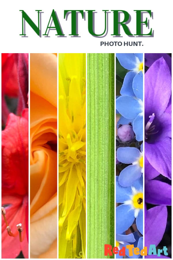 Easy Photography Rainbow Nature Scavenger Hunt - Red Ted Art