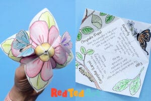 Butterfly Life Cycle Cootie Catcher - Red Ted Art - Easy Kids Crafts
