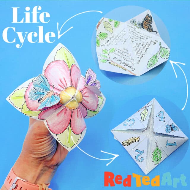 Butterfly Life Cycle Cootie Catcher - Red Ted Art - Easy Kids Crafts