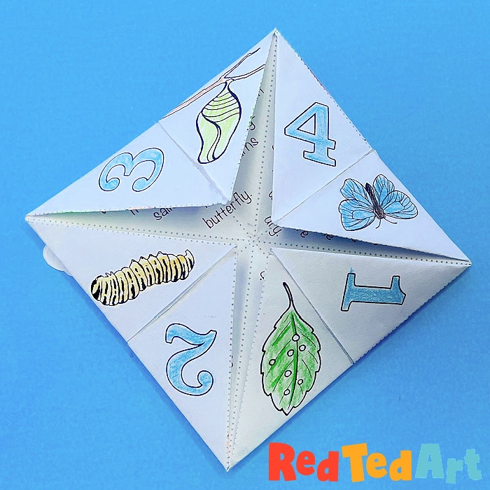 Butterfly Life Cycle Cootie Catcher - Red Ted Art - Easy Kids Crafts