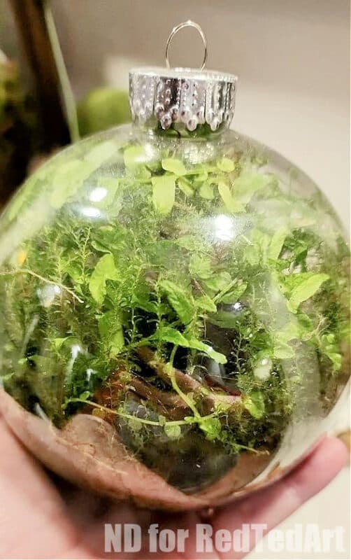 How to make Terrarium Ornaments DIY - Red Ted Art - Kids Crafts