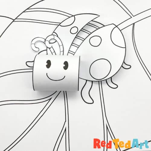3d Coloring Pages Insects - Bee, Butterfly, Ladybug, Firefly & Dragonfly