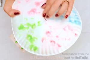 Four Seasons Tree - Paper Plate Spinner - Red Ted Art - Kids Crafts